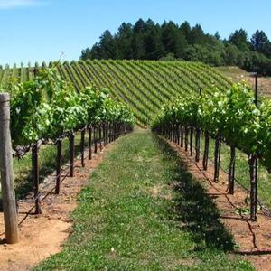 The Best Napa Valley Wine Tours of 2020 - NapaValley.com