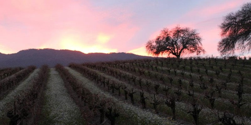 Napa Valley Wine Country Tours – Napa, CA – NapaValley.com