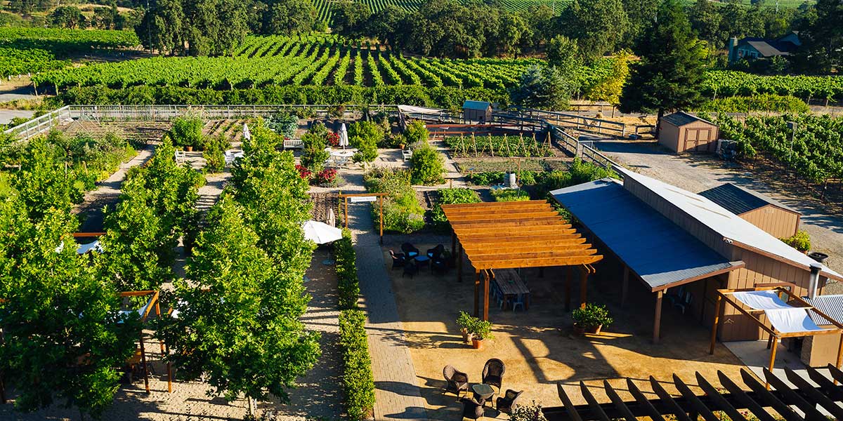 DeLoach Vineyards – Santa Rosa, CA – Sonoma.com