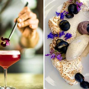 Solbar – Solage, an Auberge Resort – Calistoga, CA – NapaValley.com