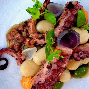 Solbar – Solage, an Auberge Resort – Calistoga, CA – NapaValley.com