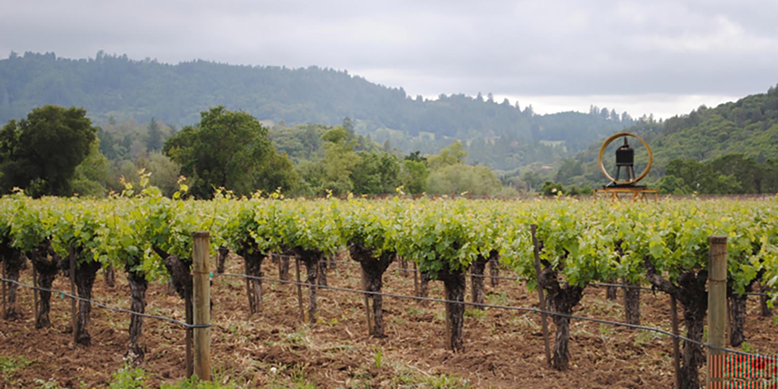 Chateau Montelena Winery – Calistoga, CA – NapaValley.com