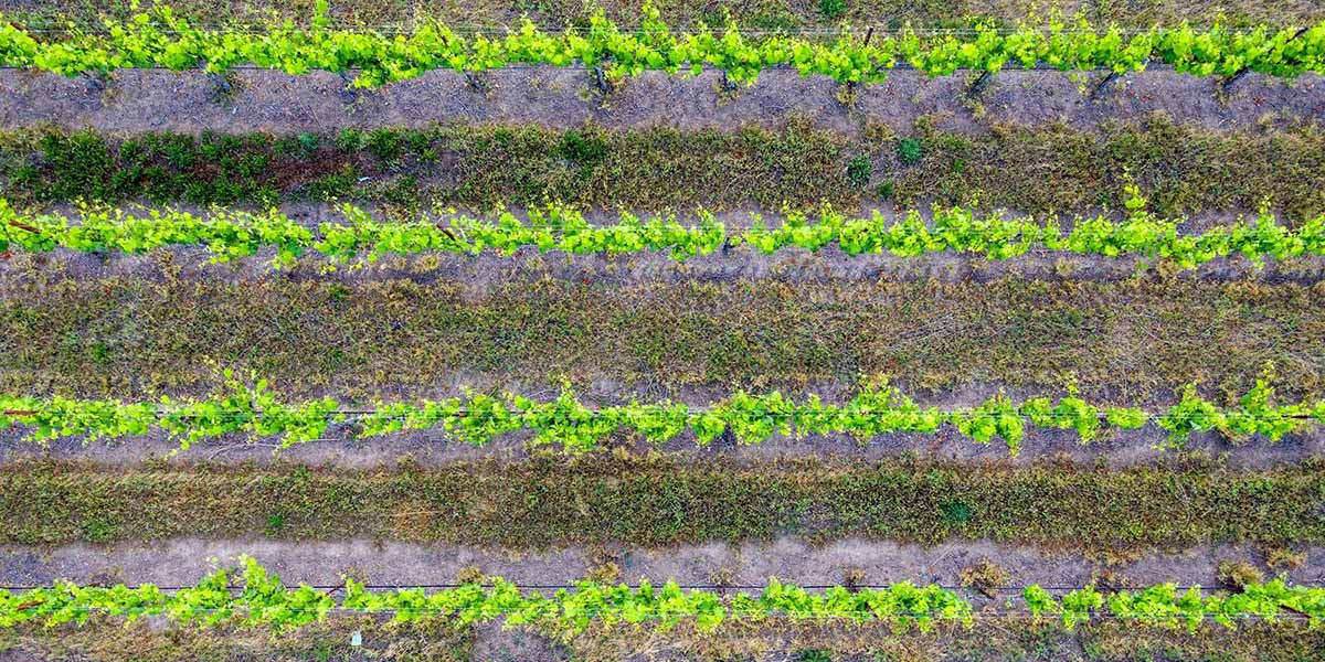 Abbot’s Passage Winery & Mercantile – Glen Ellen, CA – Sonoma.com