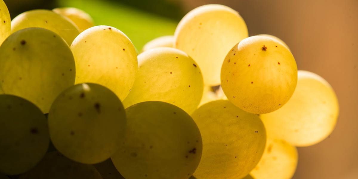 Abbot’s Passage Winery & Mercantile – Glen Ellen, CA – Sonoma.com