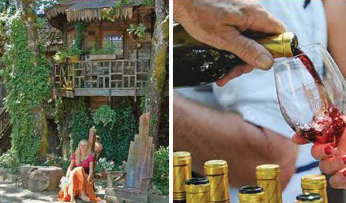 Mendocino County Wineries: Tasting in 2 Days | WineCountry.com