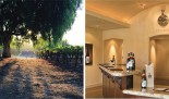 Livermore Cabernet Sauvignon Wineries: Tasting in 2 Days | WineCountry.com
