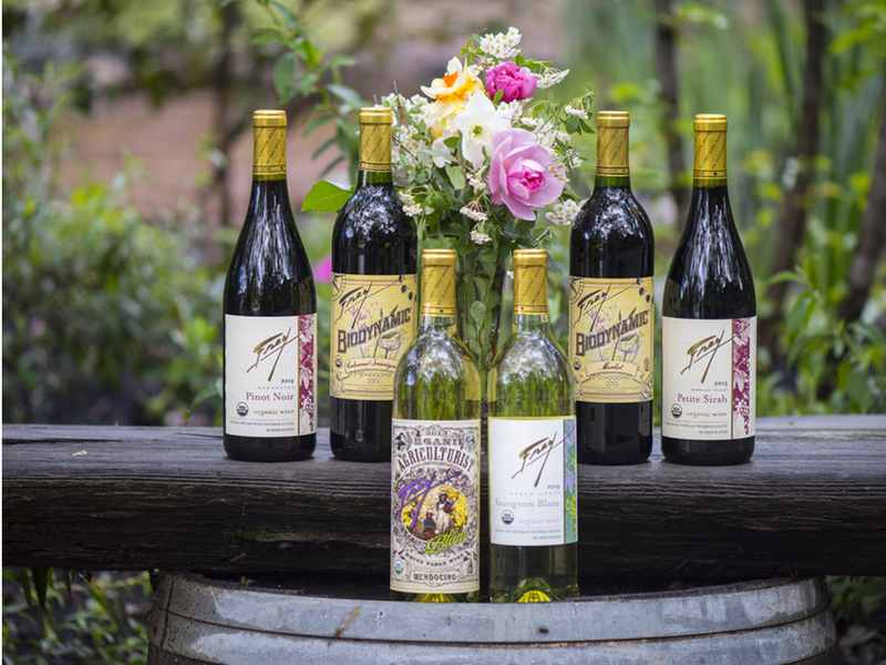 Discover Vegan and Organic Wines: What’s The Difference and What To ...