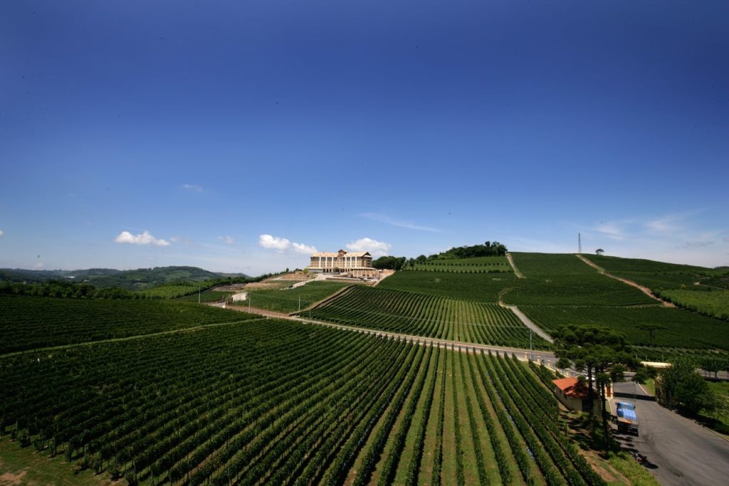 10 Must-Know Facts About Brazilian Wine | WineCountry.com
