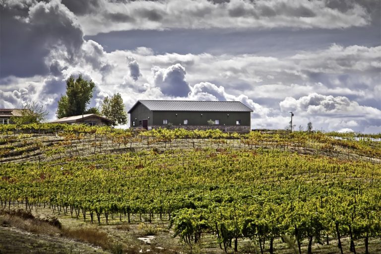 15 Best Temecula Wineries to Visit | WineCountry.com