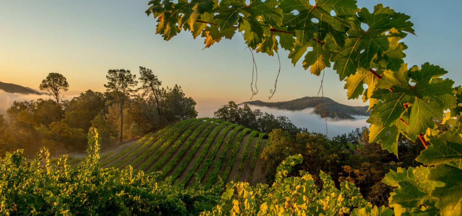 Most Beautiful Wineries in Napa Valley | WineCountry.com