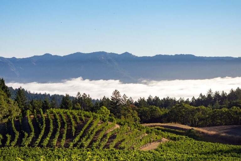 The 9 Best Wineries of Napa Valley’s Spring Mountain | Napa Valley