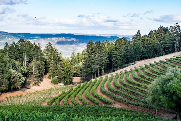 The 9 Best Wineries of Napa Valley’s Spring Mountain | Napa Valley