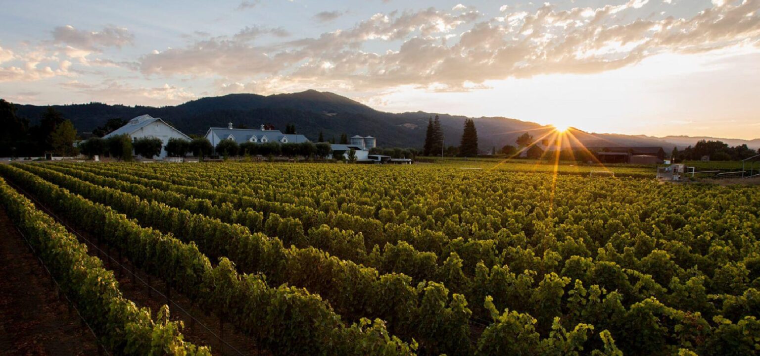 Top 8 Rutherford Wineries to Visit - NapaValley.com