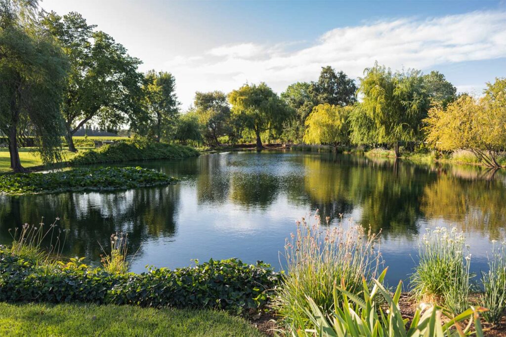 Top 10 Rutherford Wineries to Visit | Napa Valley