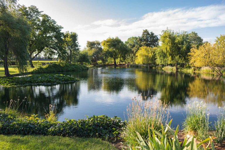 Top 10 Rutherford Wineries to Visit | Napa Valley