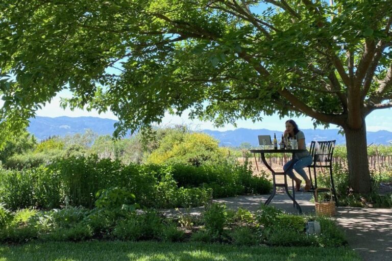 Top 10 Rutherford Wineries to Visit | Napa Valley