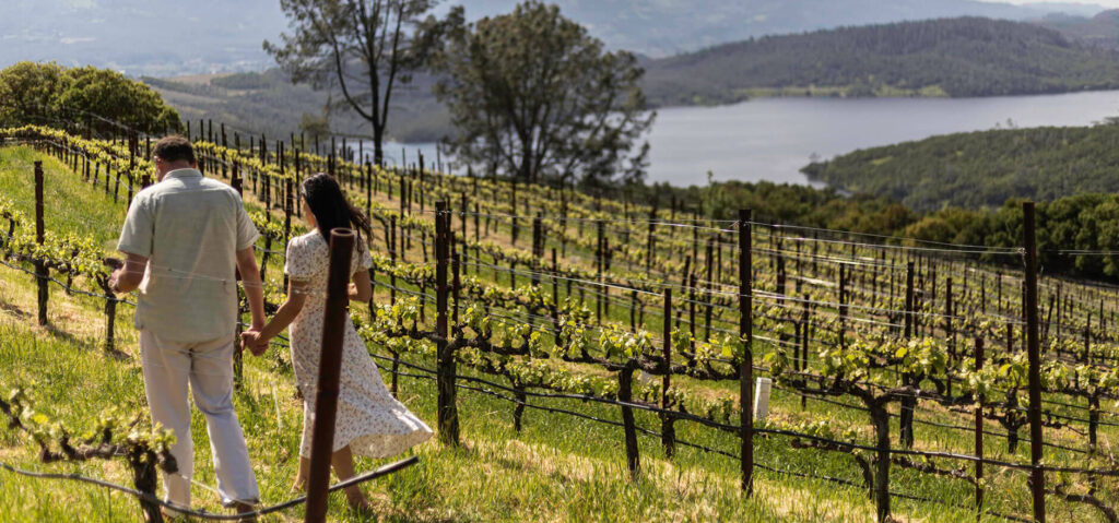 Where to Tee Off in Napa Valley: The Region’s Best Golf Courses | Napa ...