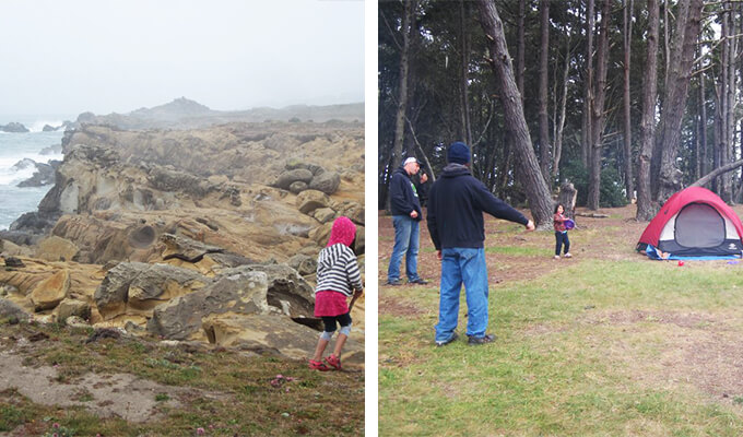 The Top 7 Things to do in Jenner | Sonoma