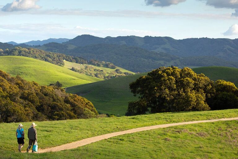 Top 10 Things to do in Petaluma | Sonoma