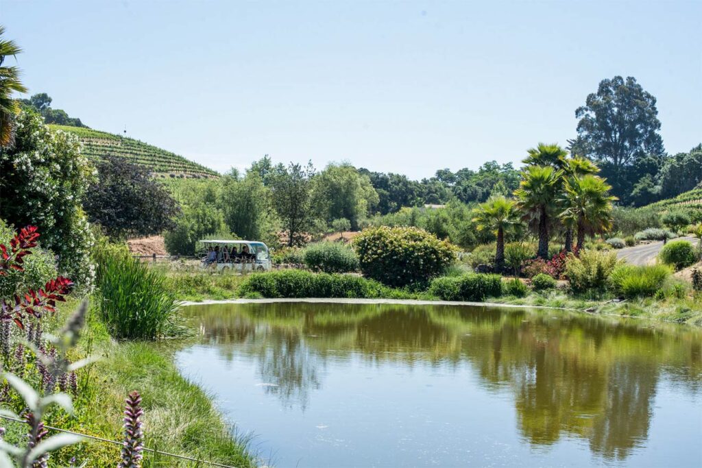 Most Beautiful Wineries in Sonoma County | Sonoma