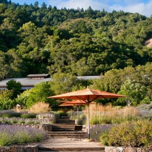 Where to Go Wine Tasting in Santa Rosa | Sonoma